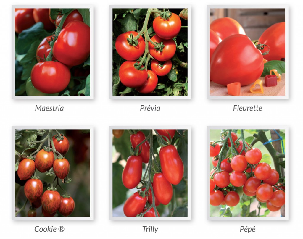 La Sélection du Chef ® – Schwarz